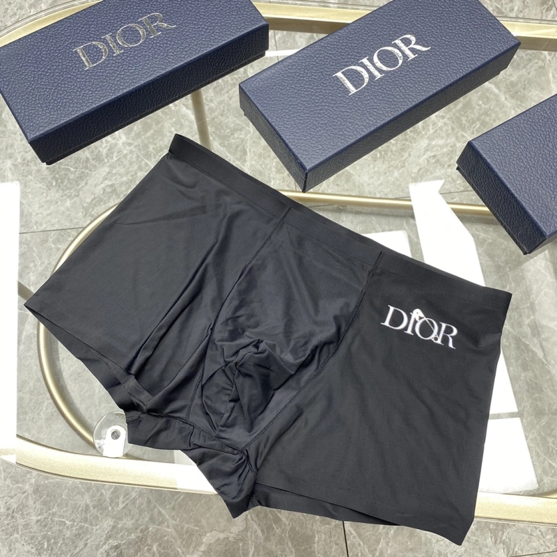 Indistinguishable Christian Dior Underwear