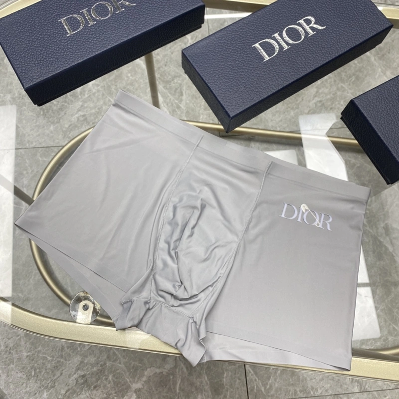 Indistinguishable Christian Dior Underwear