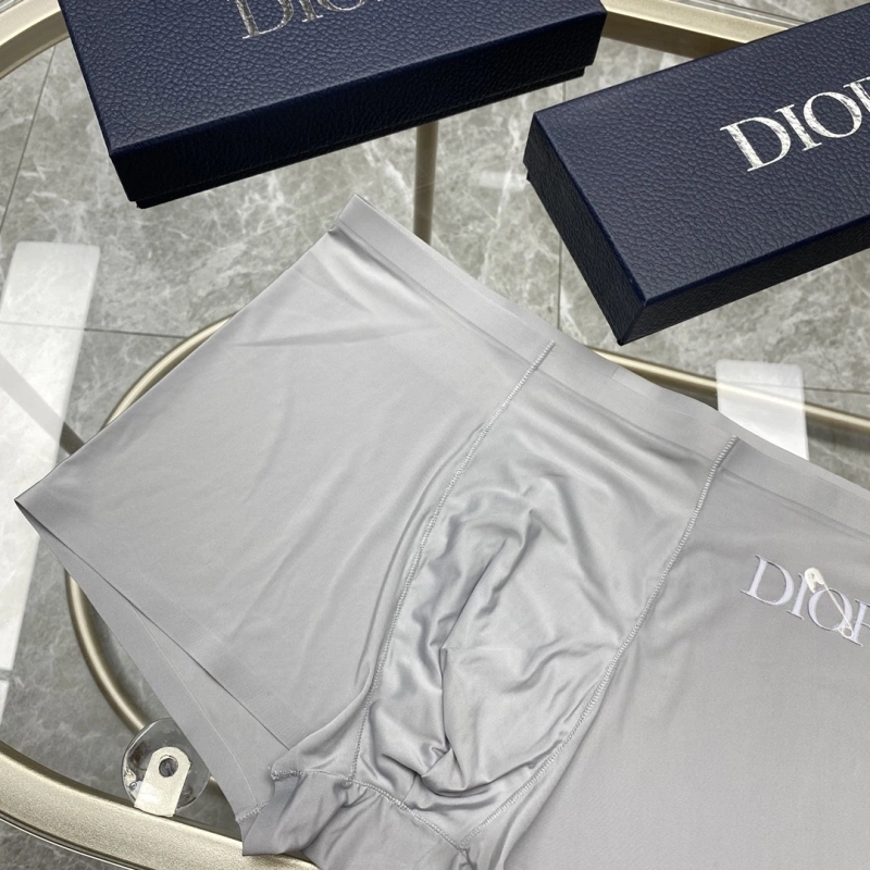 Indistinguishable Christian Dior Underwear