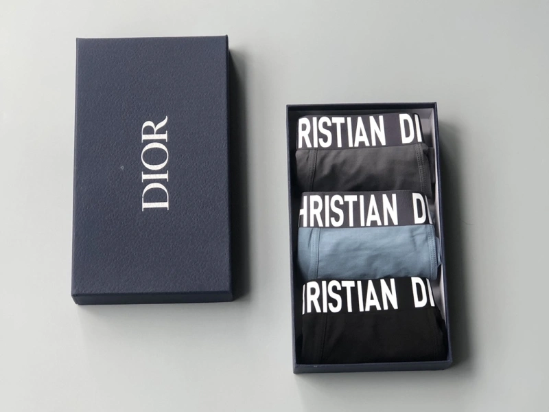 Christian Dior Underwear