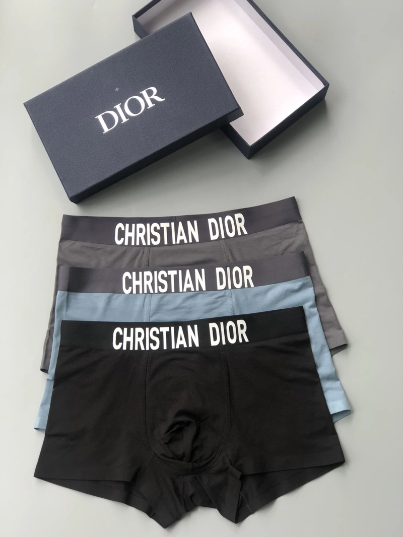 Accurate model Christian Dior Underwear