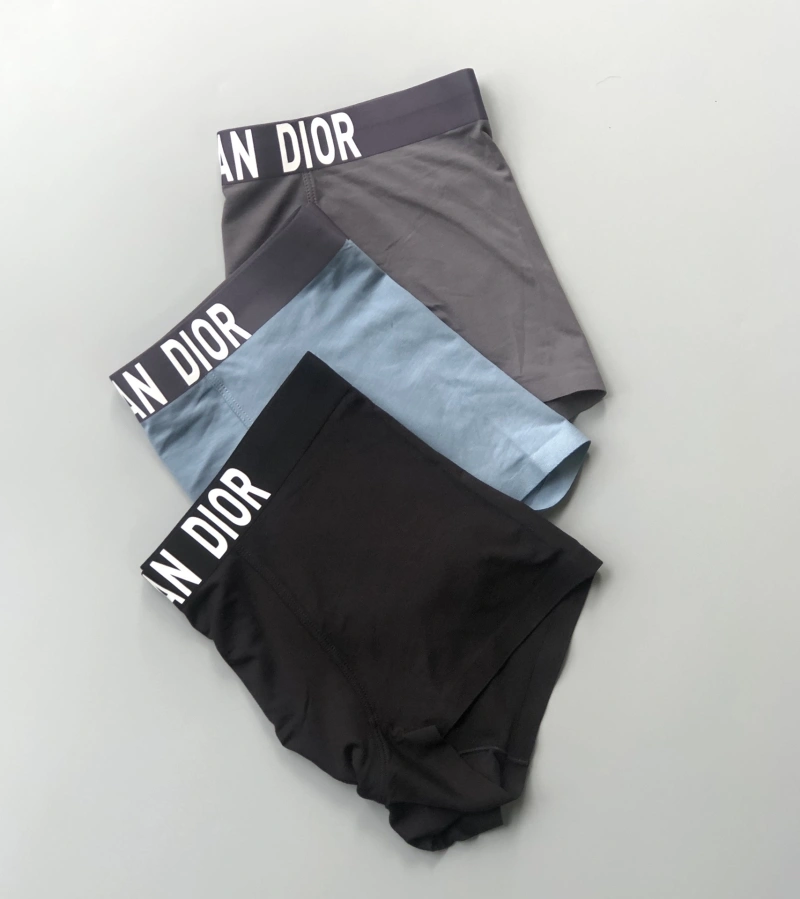 Accurate model Christian Dior Underwear