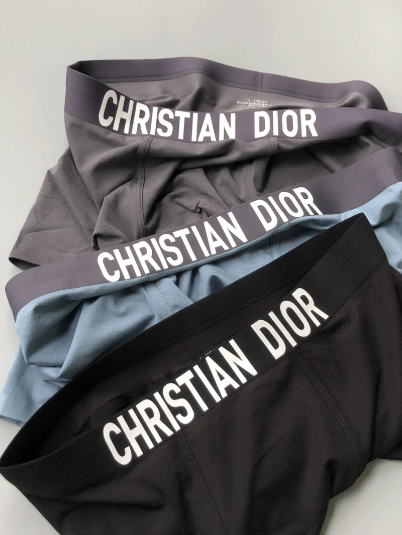 Accurate model Christian Dior Underwear