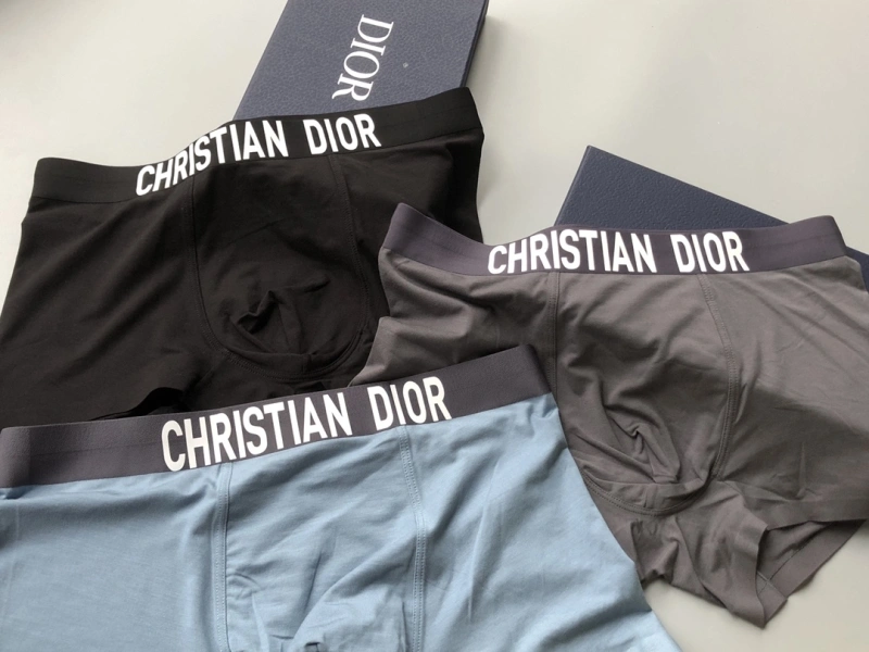 Accurate model Christian Dior Underwear