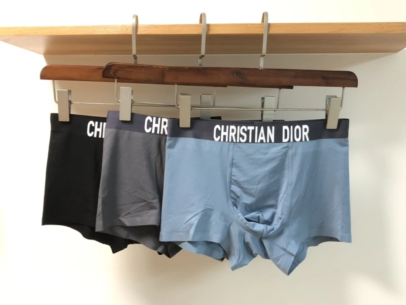 Accurate model Christian Dior Underwear