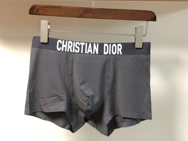 Accurate model Christian Dior Underwear