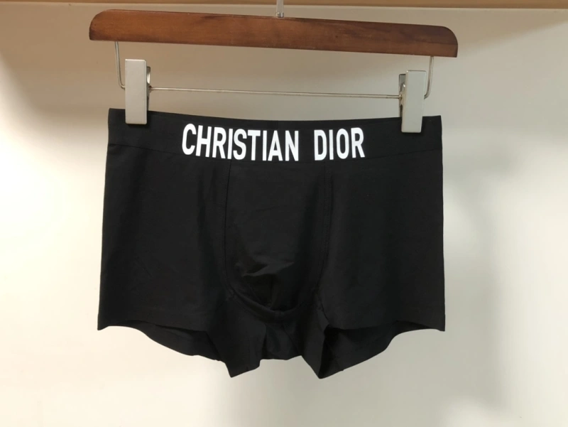 Accurate model Christian Dior Underwear