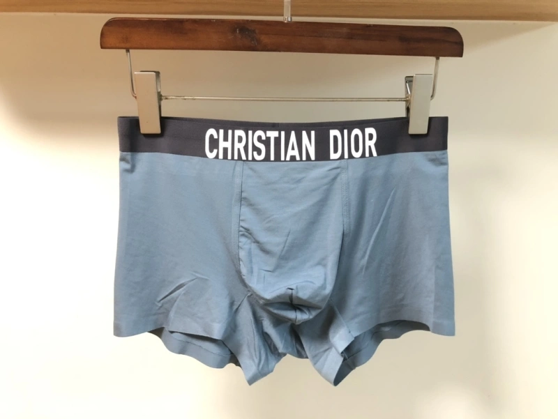 Accurate model Christian Dior Underwear