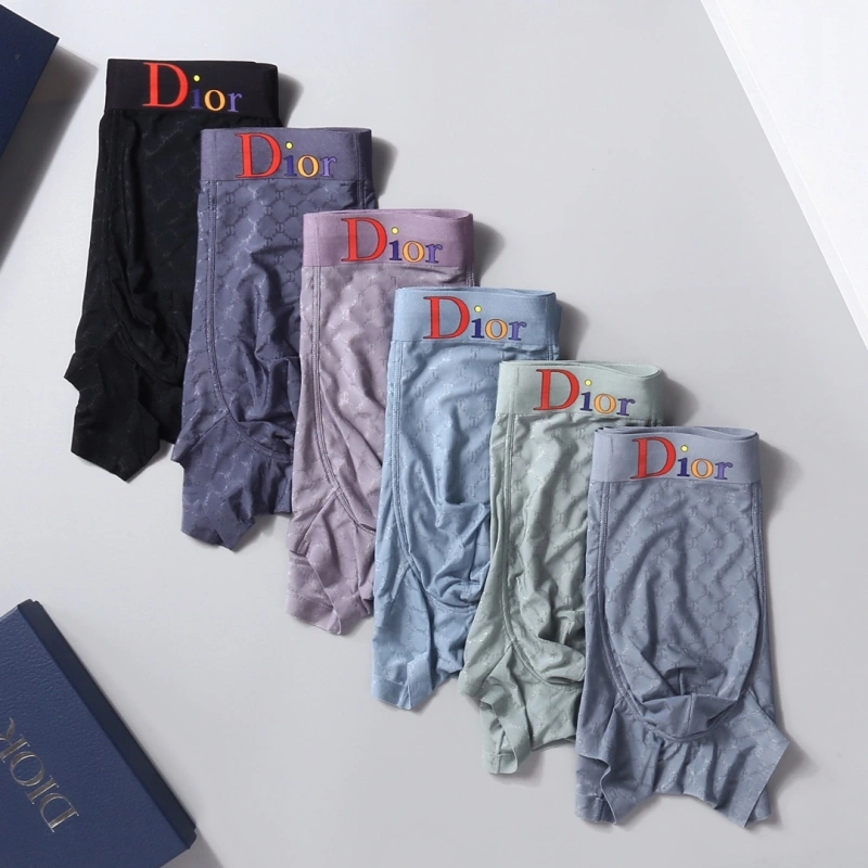 Christian Dior Underwear
