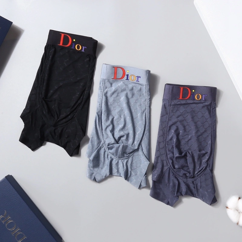 High accuracy Christian Dior Underwear