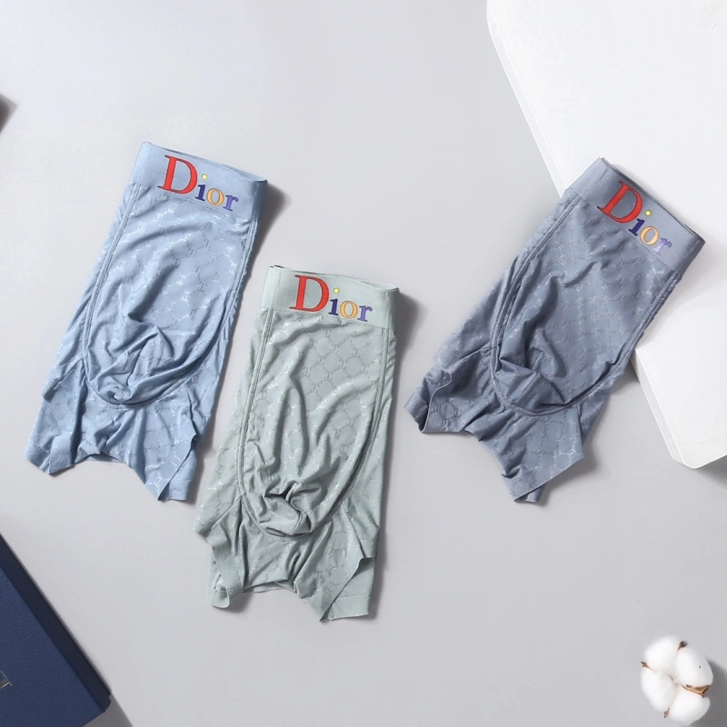 High accuracy Christian Dior Underwear