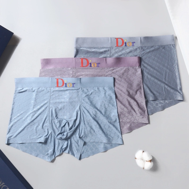 High accuracy Christian Dior Underwear