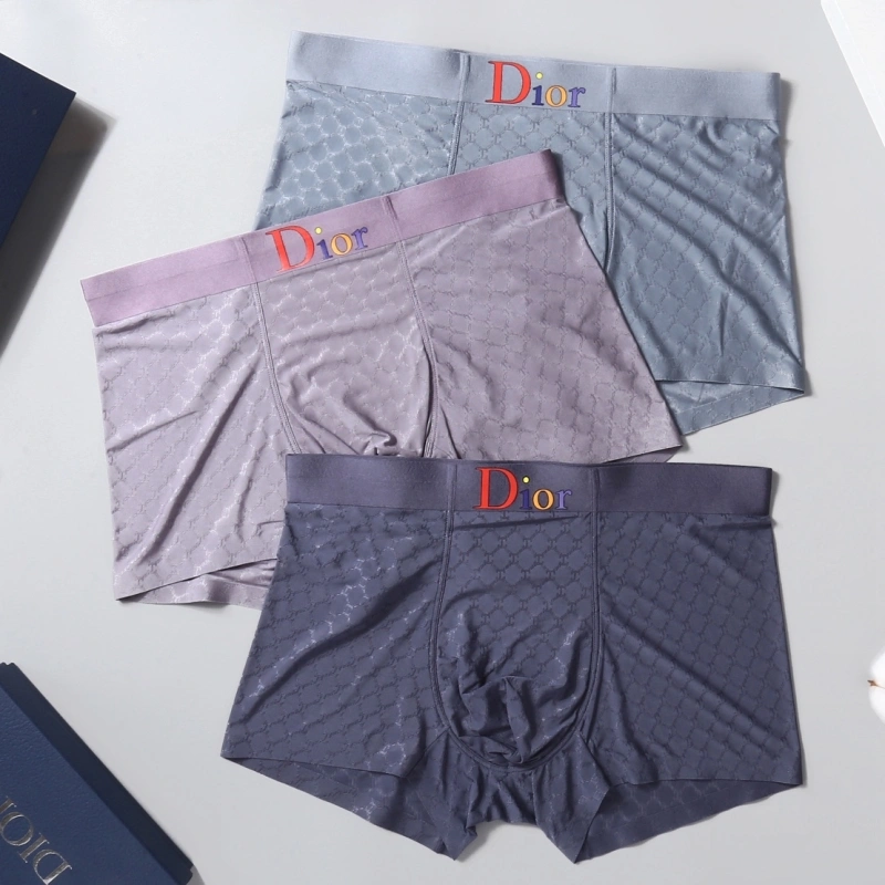 High accuracy Christian Dior Underwear