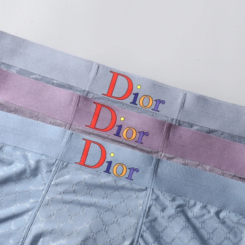 High accuracy Christian Dior Underwear