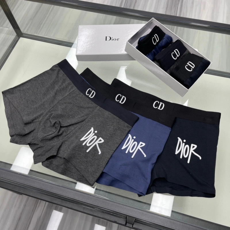 Christian Dior Underwear