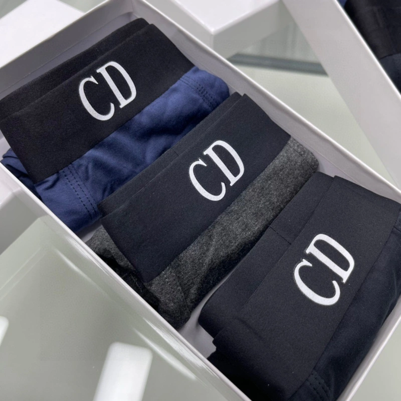 Precise copy Christian Dior Underwear