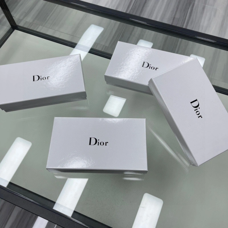 Precise copy Christian Dior Underwear