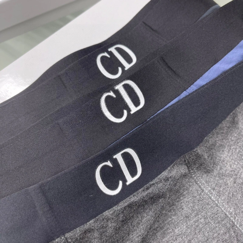 Precise copy Christian Dior Underwear