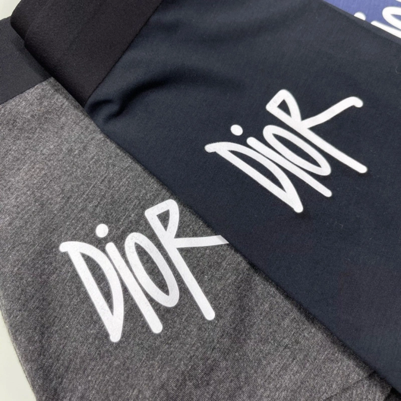 Precise copy Christian Dior Underwear