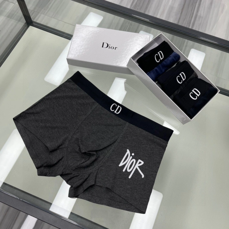 Precise copy Christian Dior Underwear