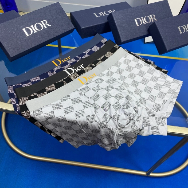 Christian Dior Underwear