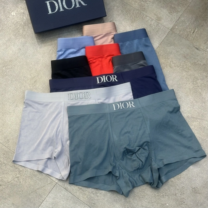 Christian Dior Underwear
