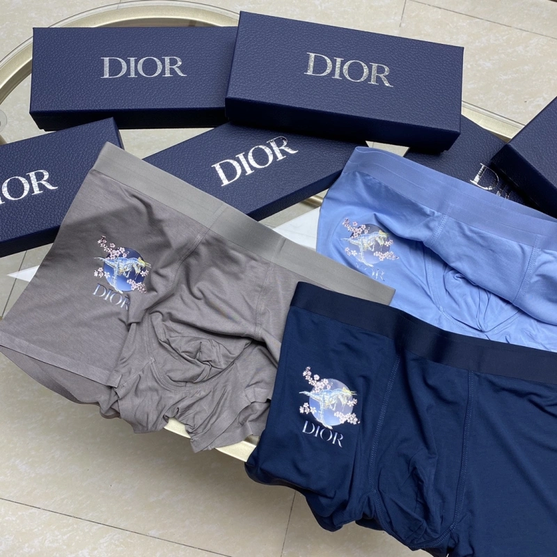 Christian Dior Underwear
