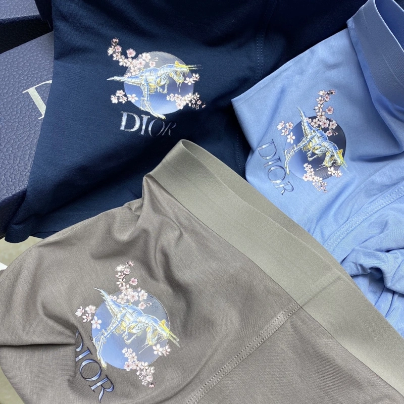 Brand-original Christian Dior Underwear