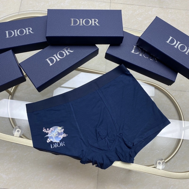 Brand-original Christian Dior Underwear