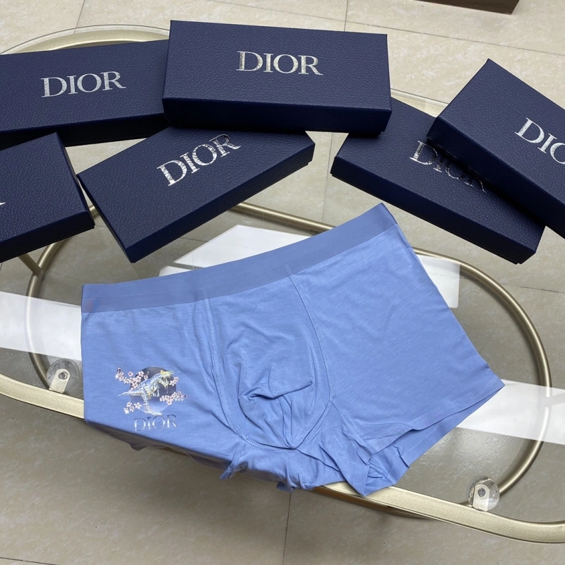 Brand-original Christian Dior Underwear