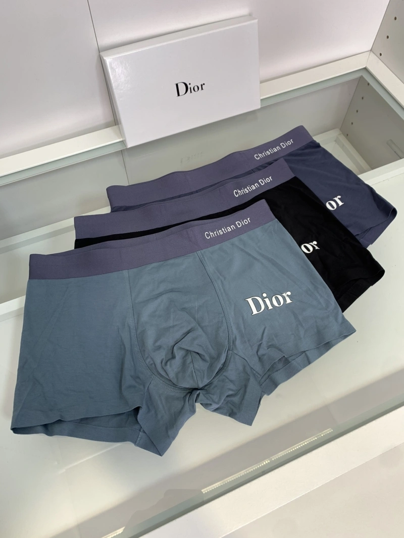 Original Christian Dior Underwear