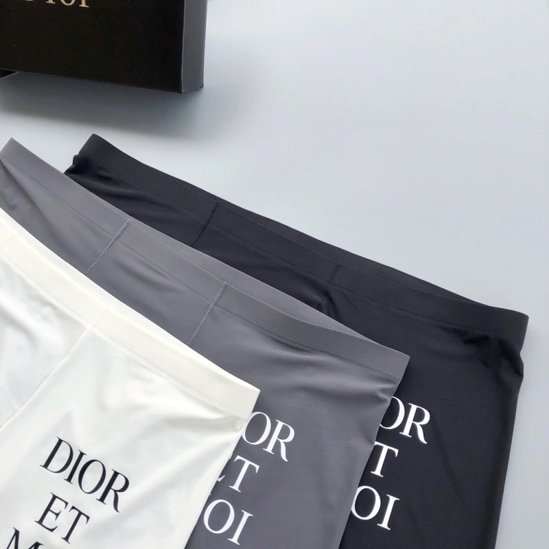Economical Christian Dior Underwear