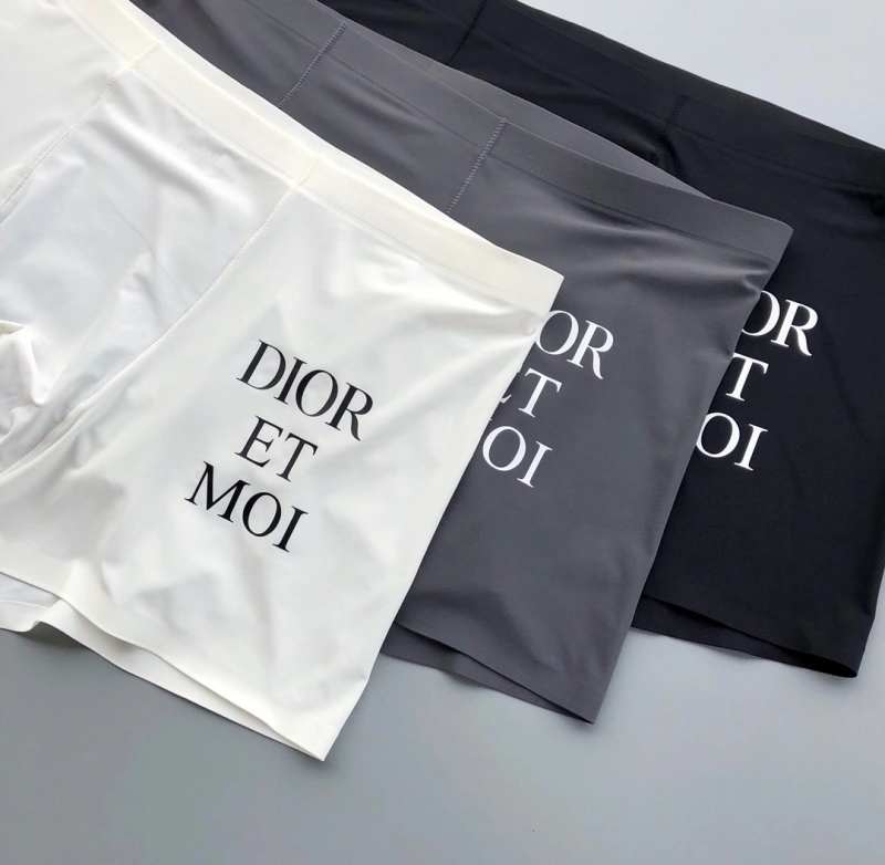 Economical Christian Dior Underwear
