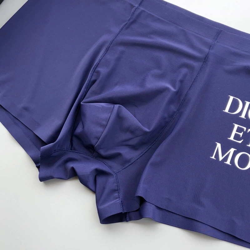 Economical Christian Dior Underwear
