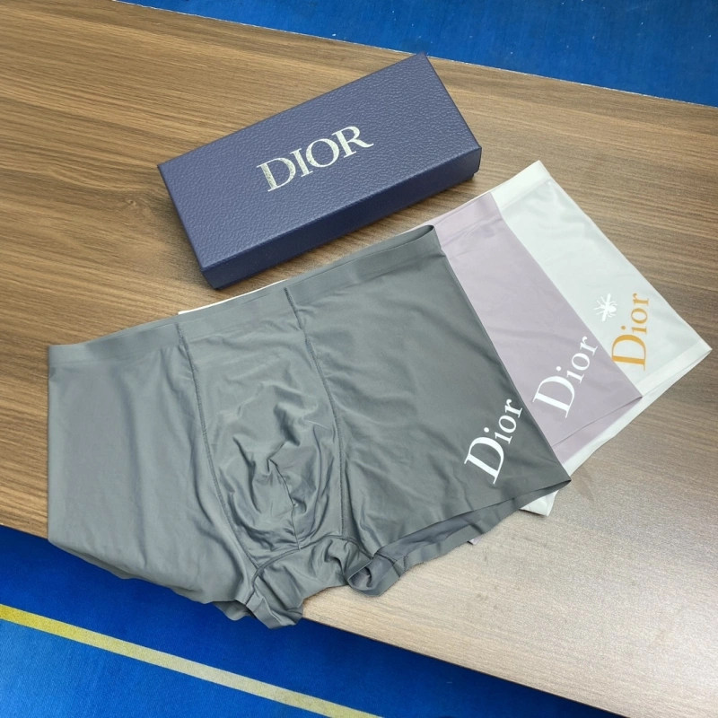Christian Dior Underwear