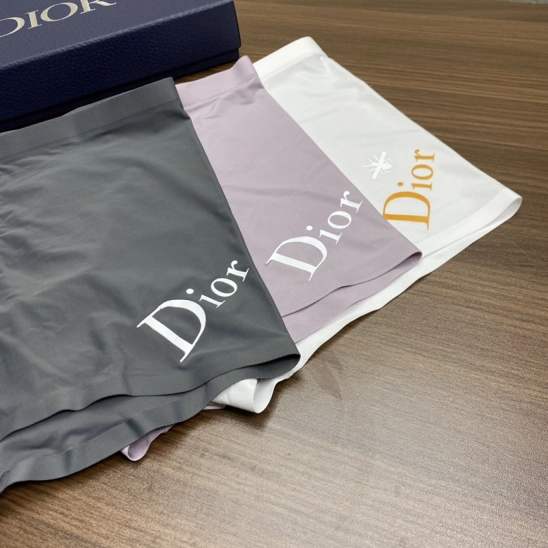 Indistinguishable Christian Dior Underwear