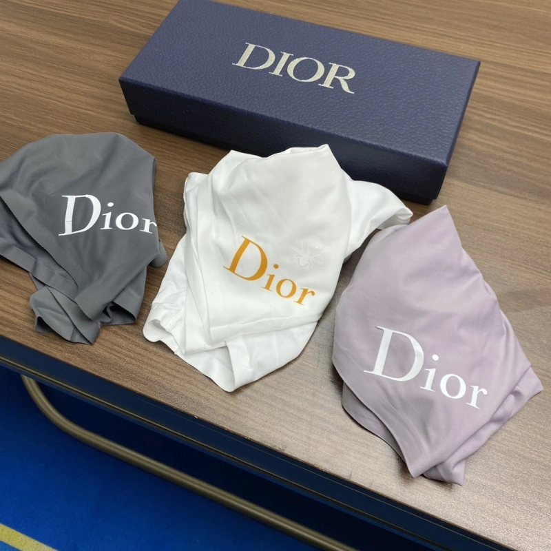 Indistinguishable Christian Dior Underwear