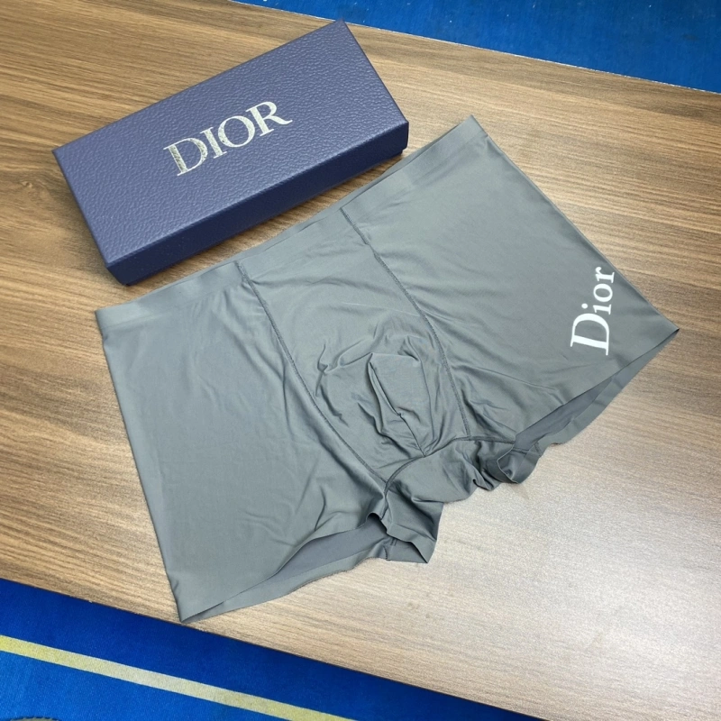 Indistinguishable Christian Dior Underwear