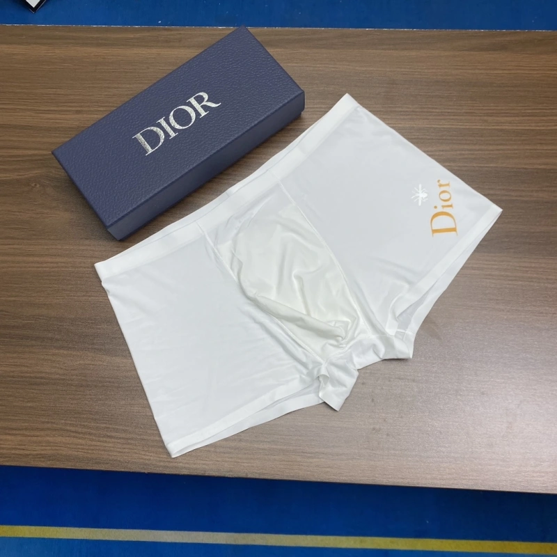 Indistinguishable Christian Dior Underwear