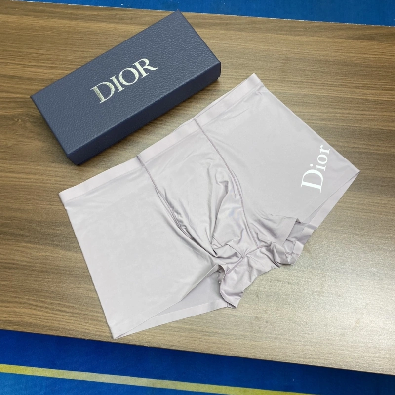 Indistinguishable Christian Dior Underwear