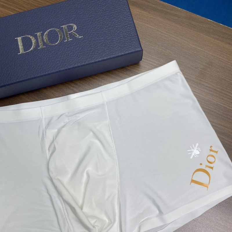 Indistinguishable Christian Dior Underwear