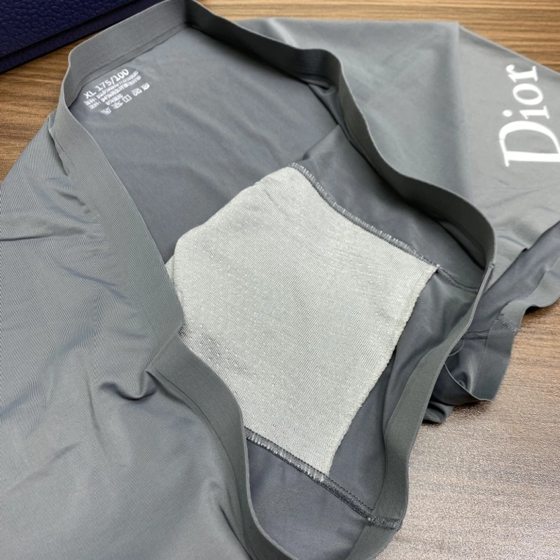Indistinguishable Christian Dior Underwear