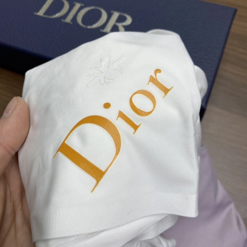 Indistinguishable Christian Dior Underwear