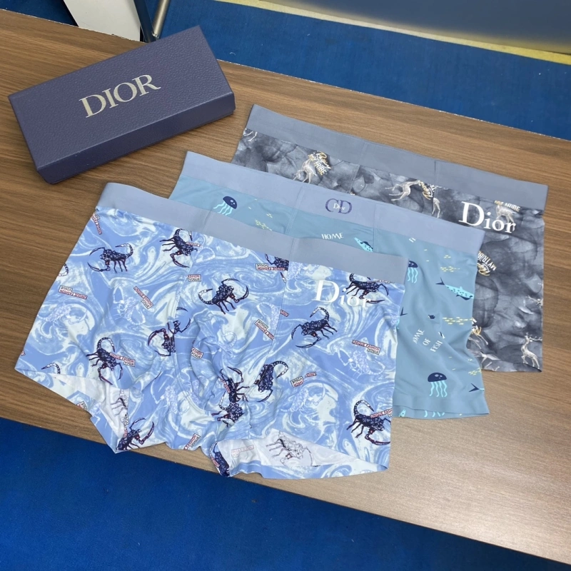 Christian Dior Underwear
