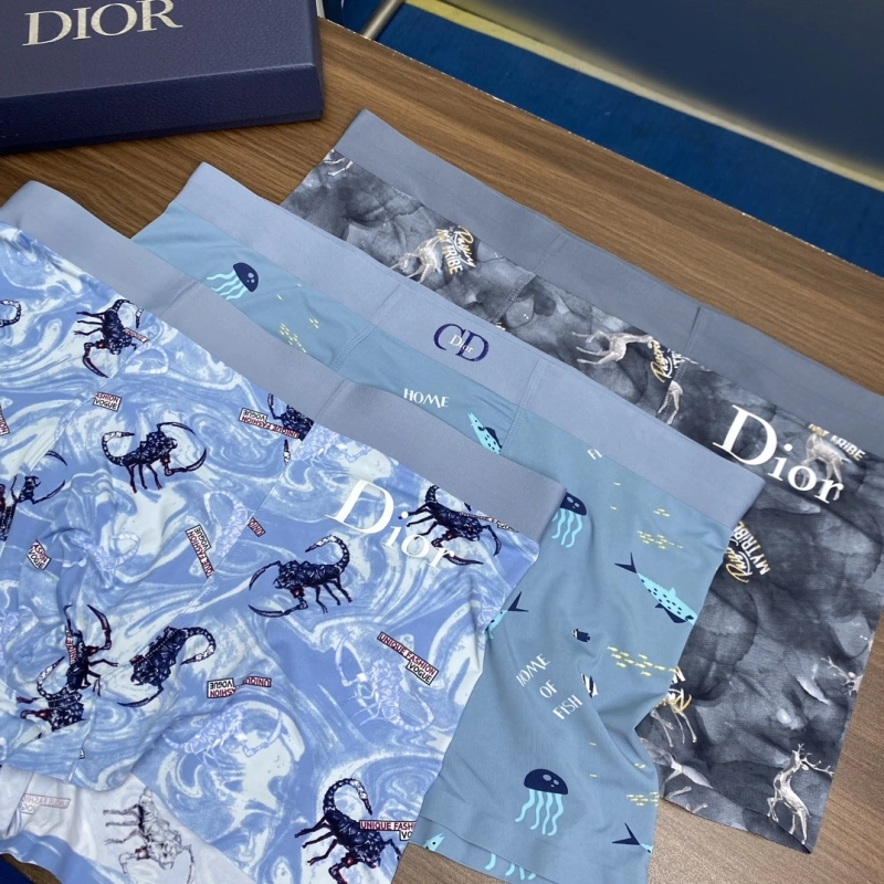 Budget-friendly Christian Dior Underwear