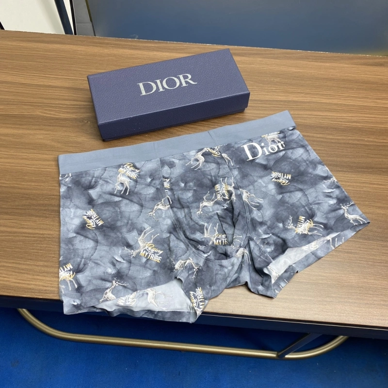 Budget-friendly Christian Dior Underwear