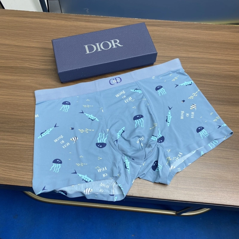 Budget-friendly Christian Dior Underwear