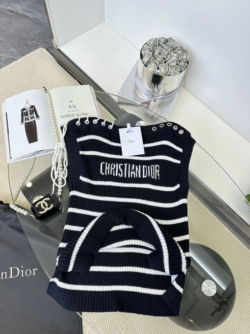 Mirror quality Christian Dior Vest