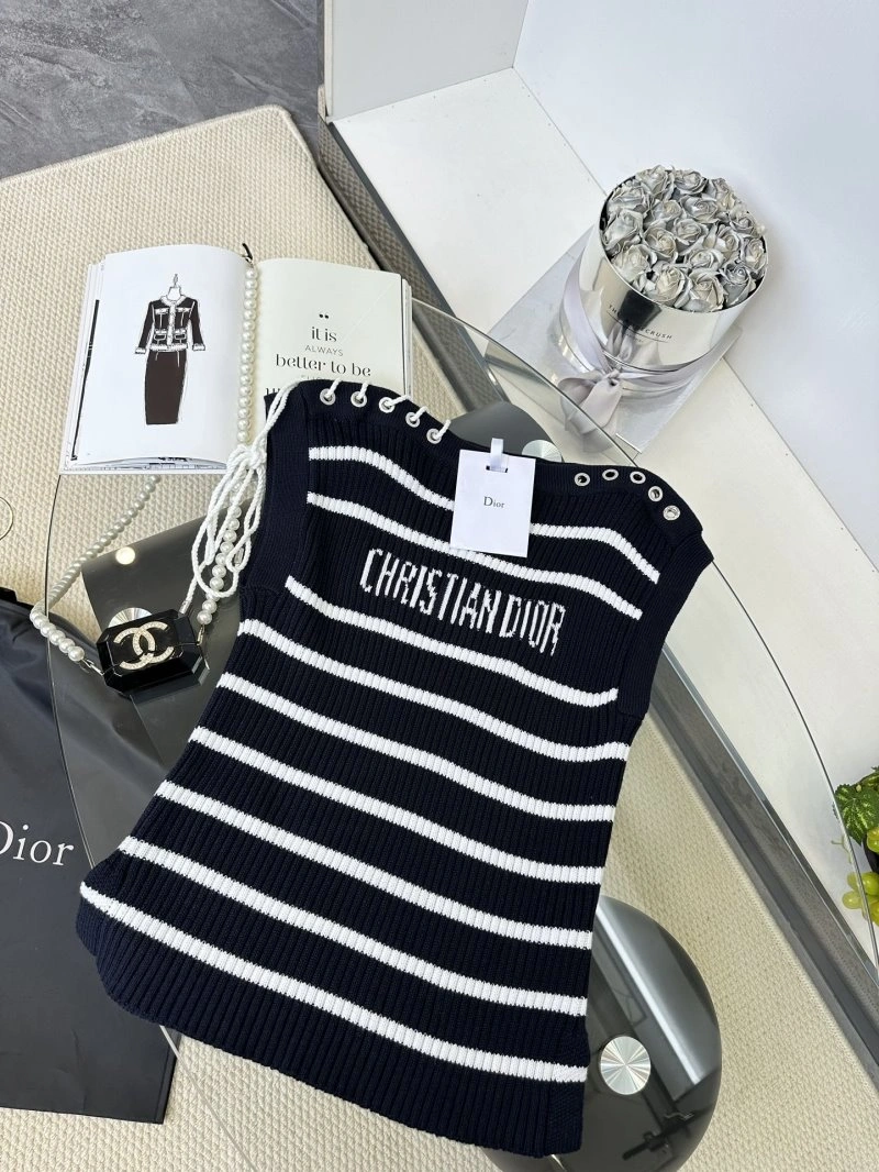 Mirror quality Christian Dior Vest