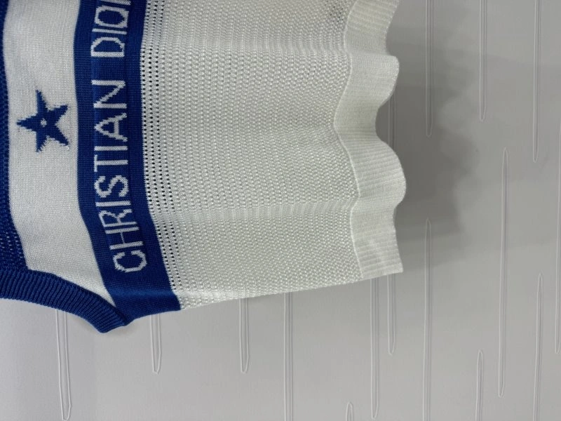 Official Christian Dior Vest